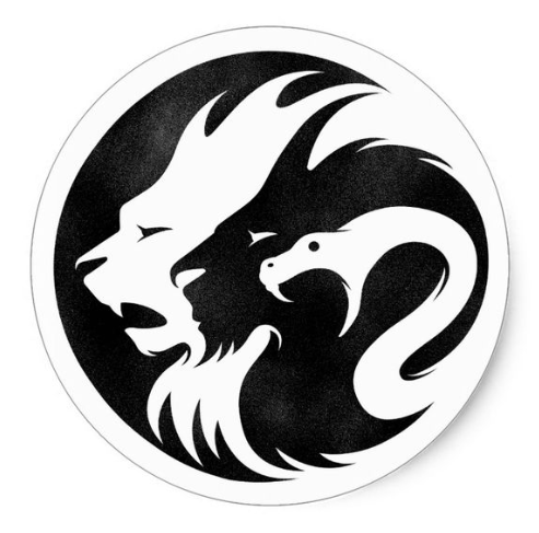 kikora.store – Kikora